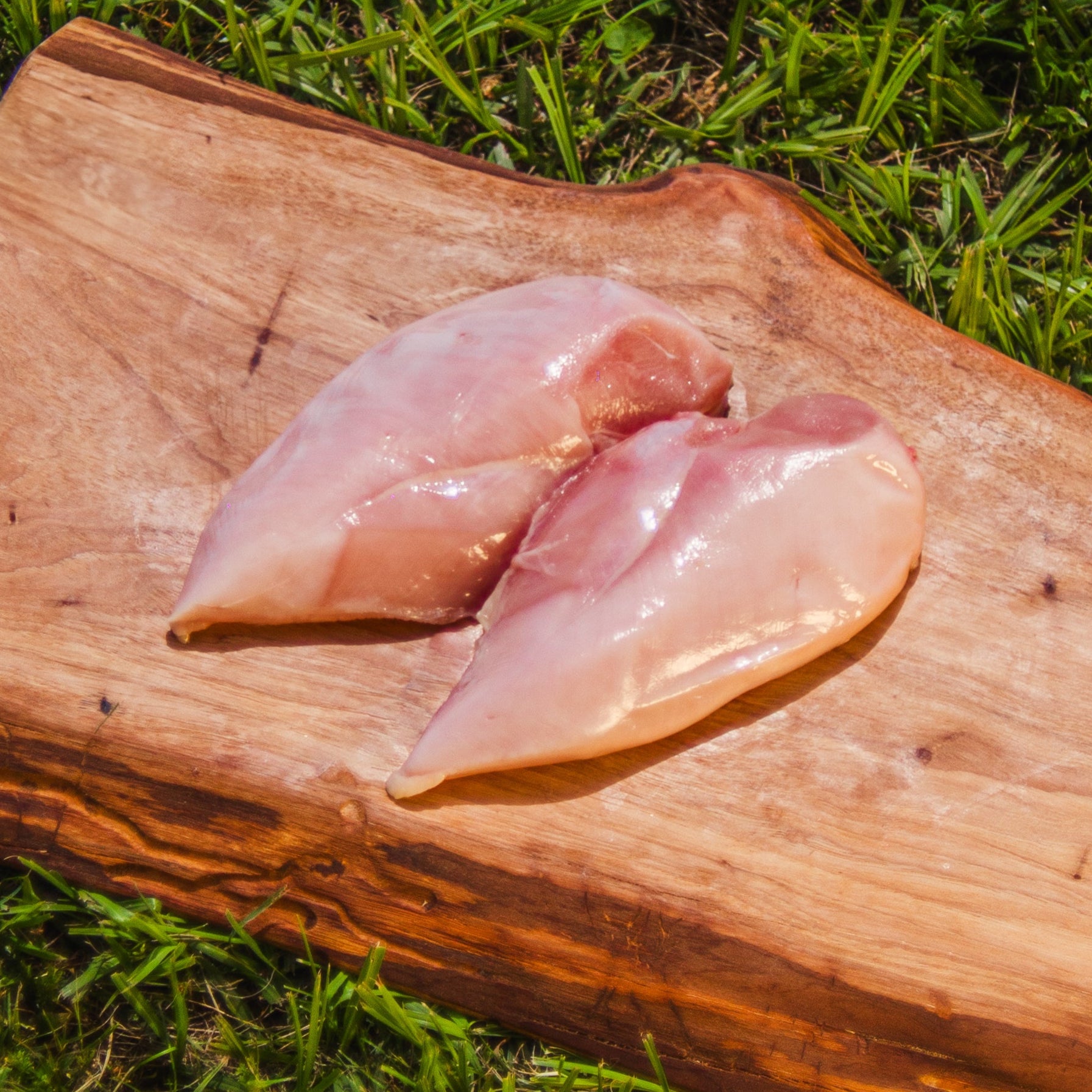 Pastured Chicken Breast - Boneless/Skinless – Shirttail Creek Farm