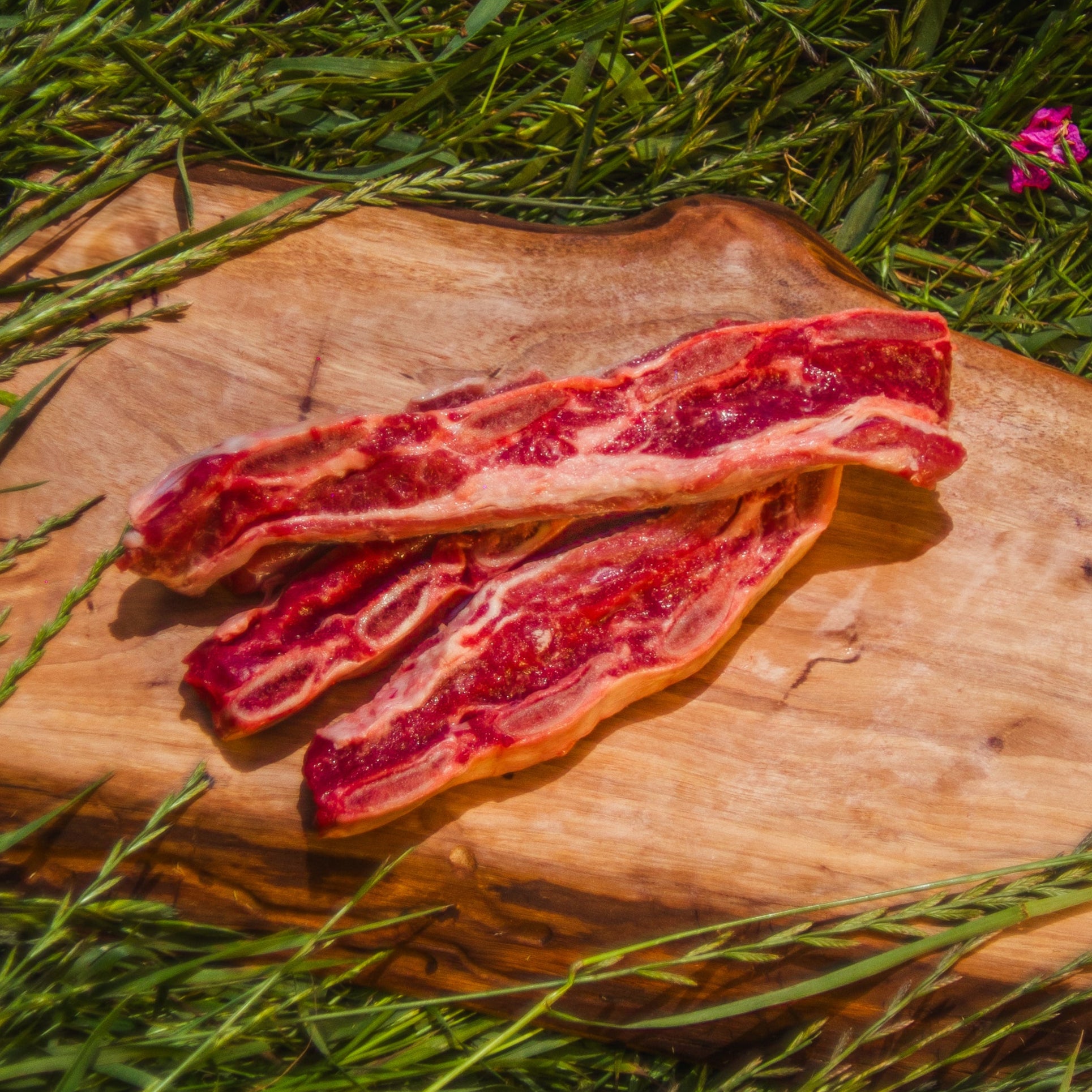 Grassfed Short Ribs (Korean Style) **3 LB PACK** – Shirttail Creek Farm